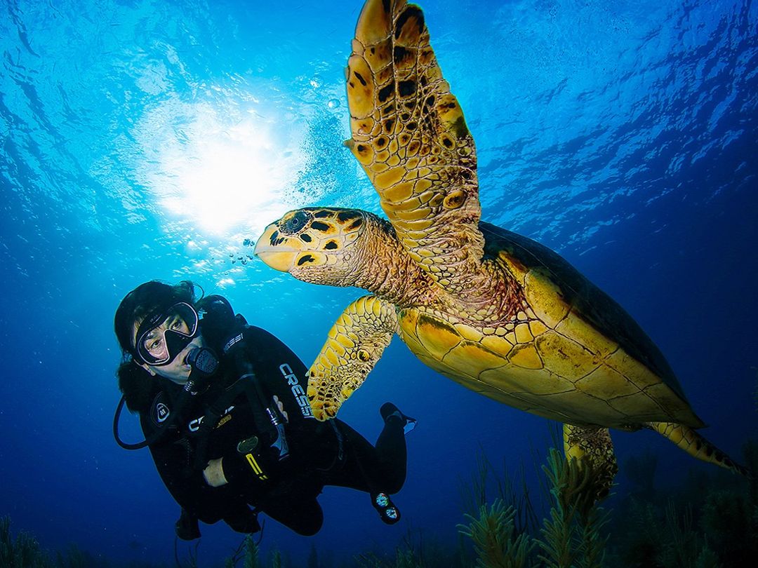 Scuba Diving in Wrecks of the Hispanic - Cuban and North American War ...
