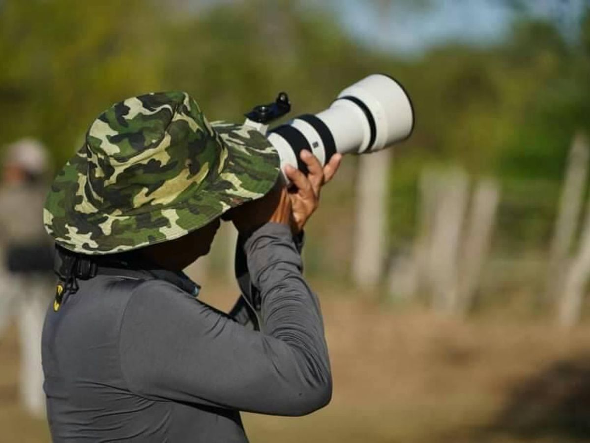 Jeep Safari "BIRD WATCHING IN CAYO COCO". Departure from CAYO COCO
