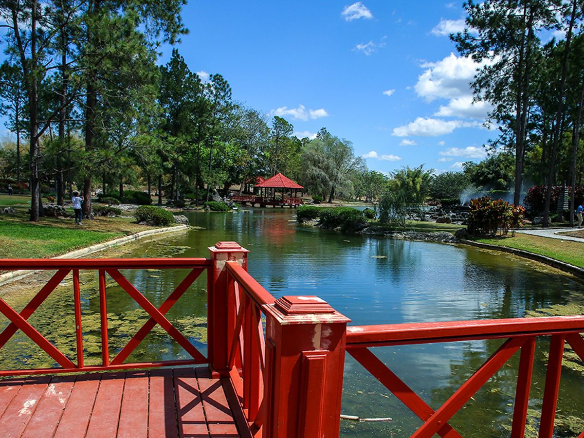 "NATURE AND HISTORY IN HAVANA" Tour. Departure from HAVANA