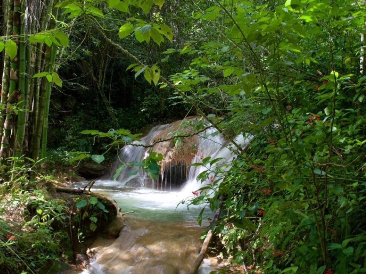 "TOPES DE COLLANTES NATURAL PARK" Tour. Departure from TRINIDAD