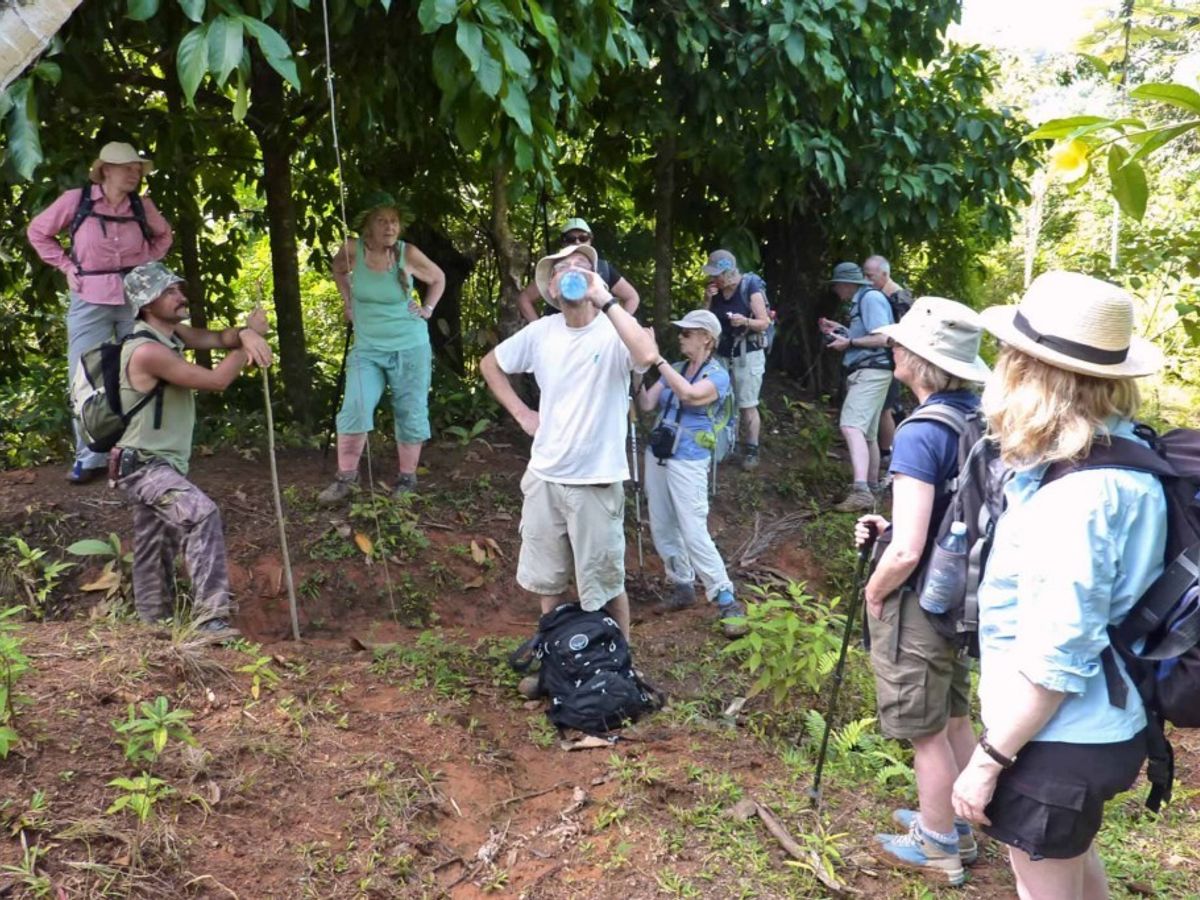 “EL YUNQUE (THE ANVIL)” Hiking Tour. Departure from BARACOA