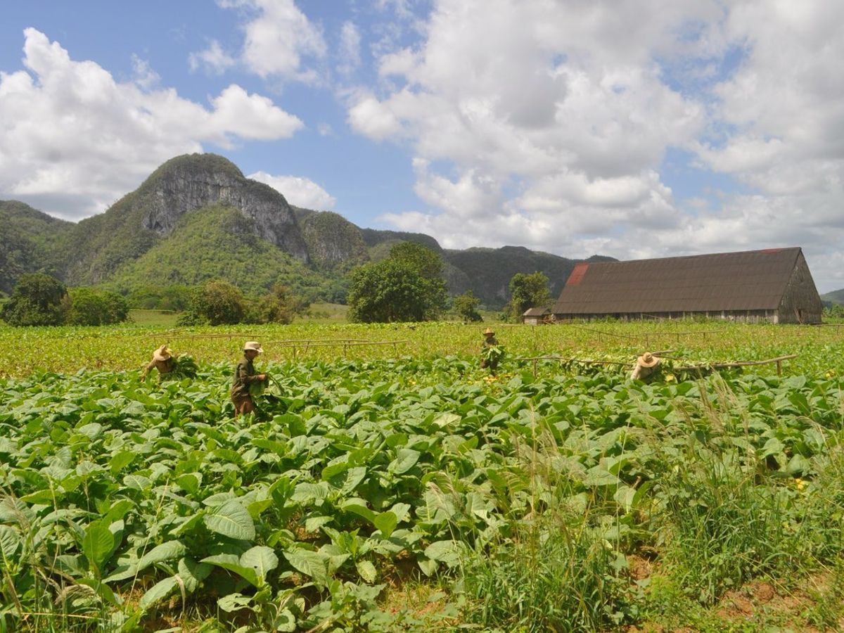 “HORSEBACK ADVENTURE THROUGH THE VIÑALES VALLEY, AN AUTHENTIC JOURNEY ...