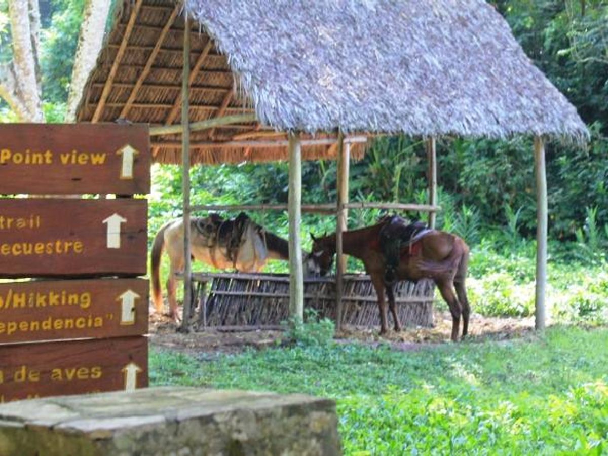 "Nature and History" Soroa Trail. Departure from SOROA