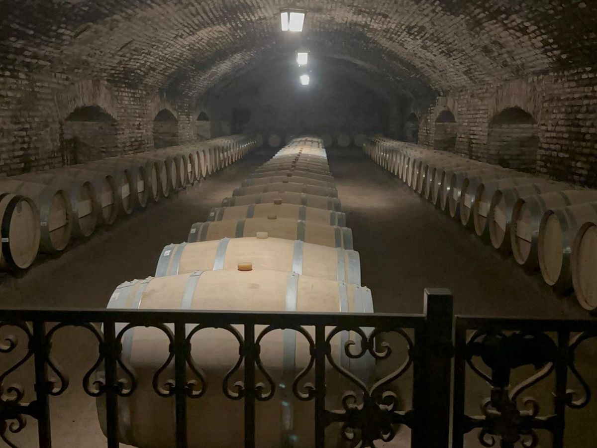 “CONCHA & TORO WINERY” Tour. Departure from SANTIAGO