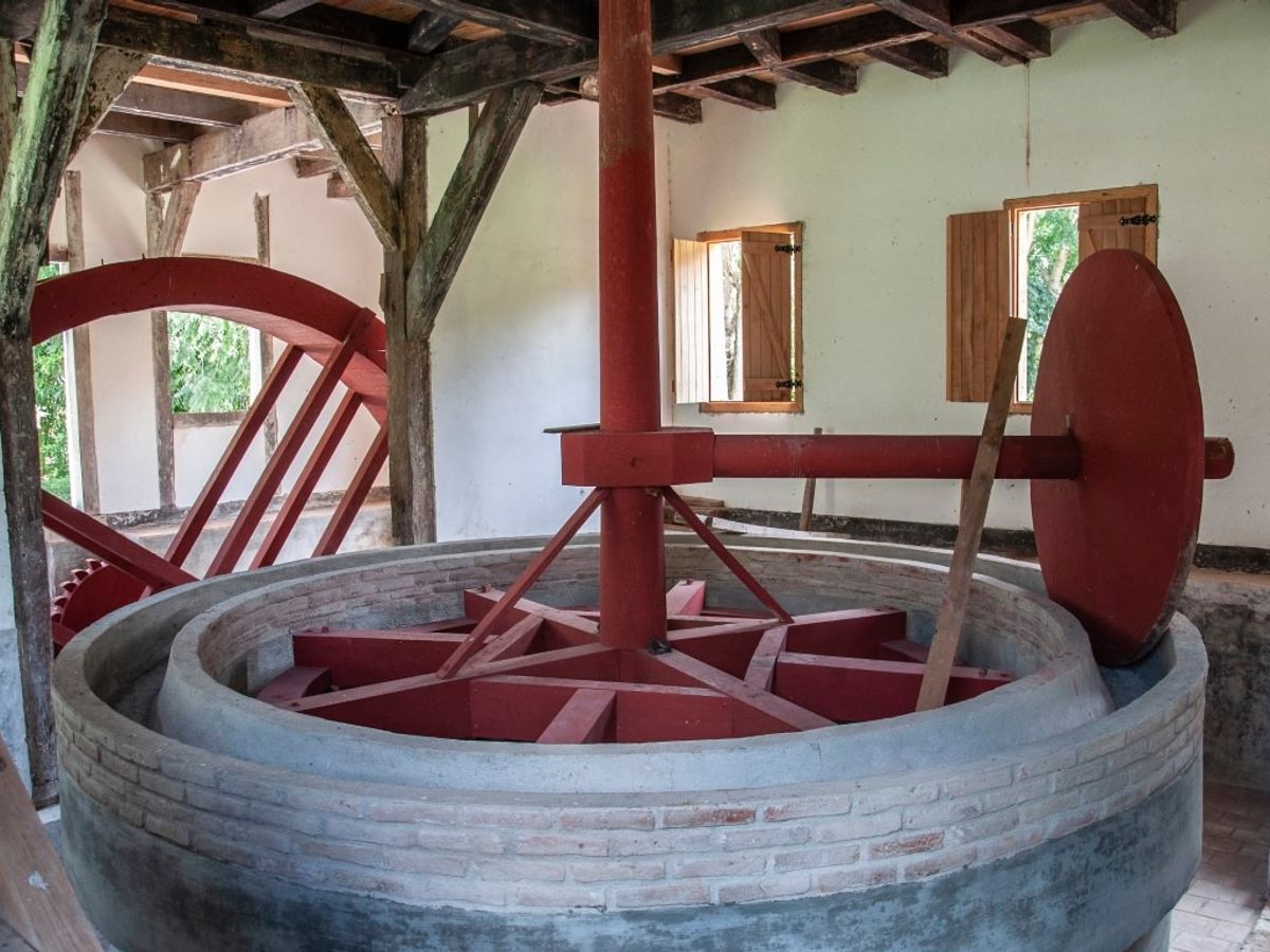 Jeep Tour "COFFEE ROUTE. EXPERIENCE HERITAGE AND TRADITION" (4 Days / 3 ...