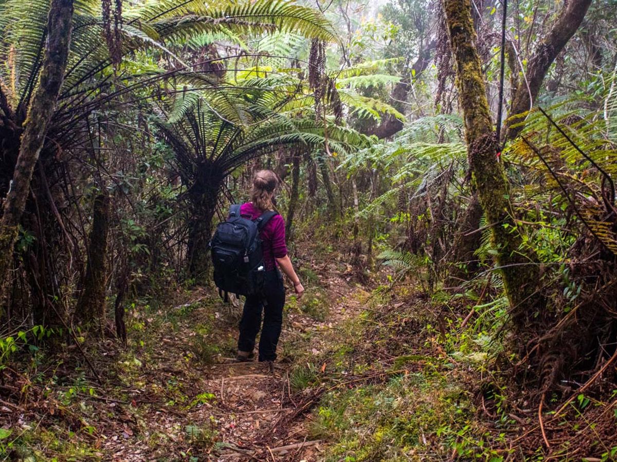 “UNFORGETTABLE ADVENTURE, PICO REAL DEL TURQUINO” Trekking Tour (1 day ...