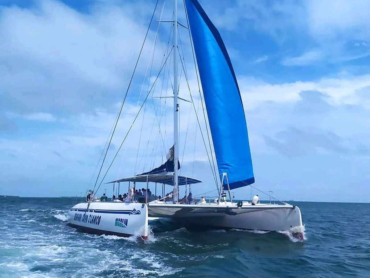 “SEAFARI CAYO BLANCO PLUS” Tour (includes interactive dolphin contact ...