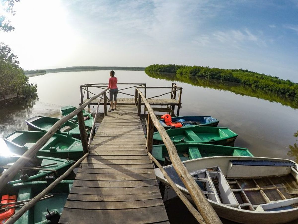 "DISCOVER THE GUANAROCA LAGOON AND IT'S EXUBERANT PINK FLAMINGOS" Tour ...
