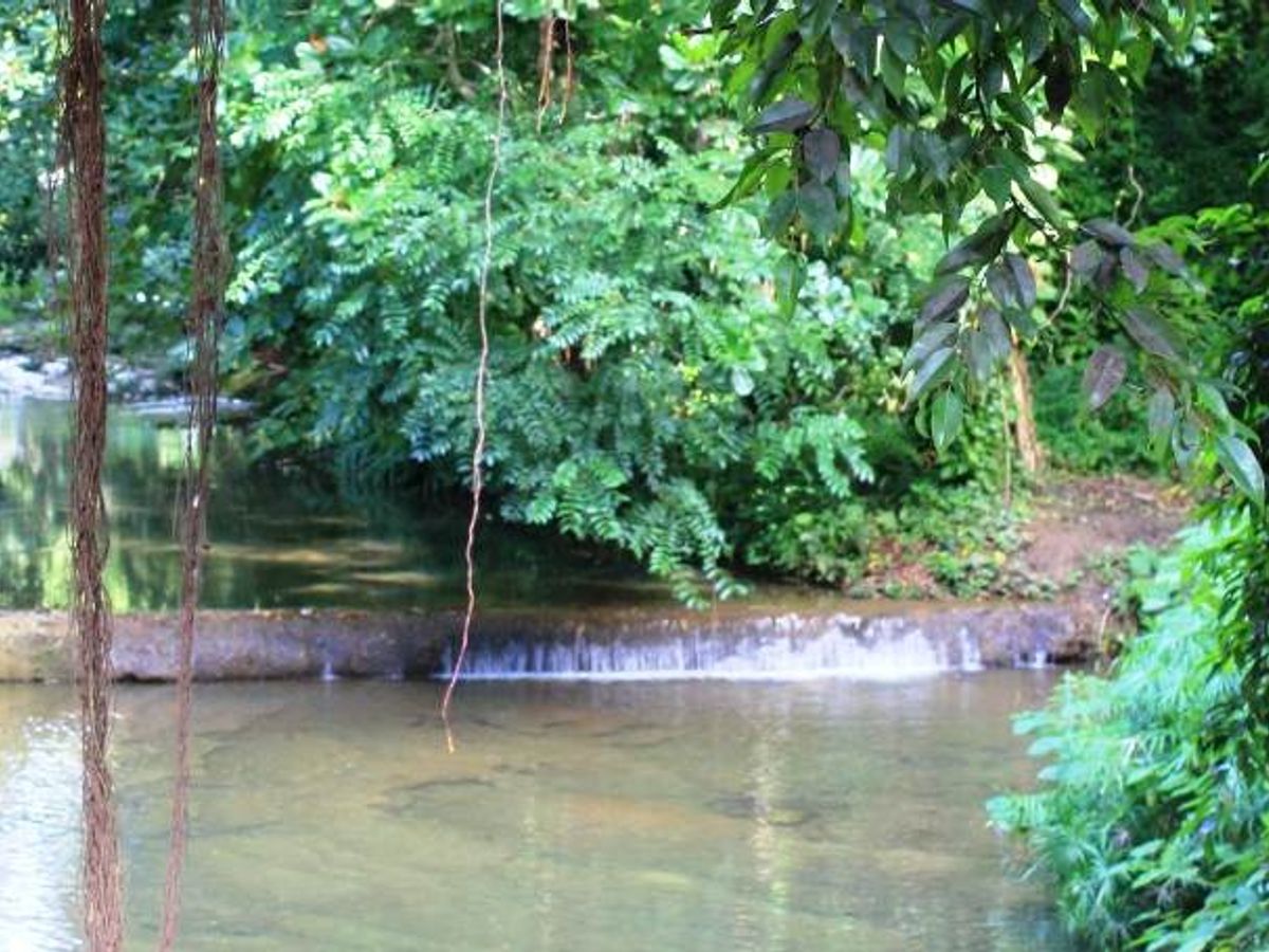 Visit to the "La Rosita" farm. Departure from SOROA