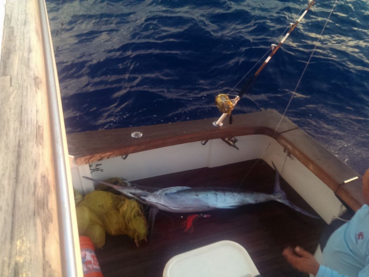 “DEEP SEA FISHING IN CIENFUEGOS“ Tour. Departure from CIENFUEGOS CITY