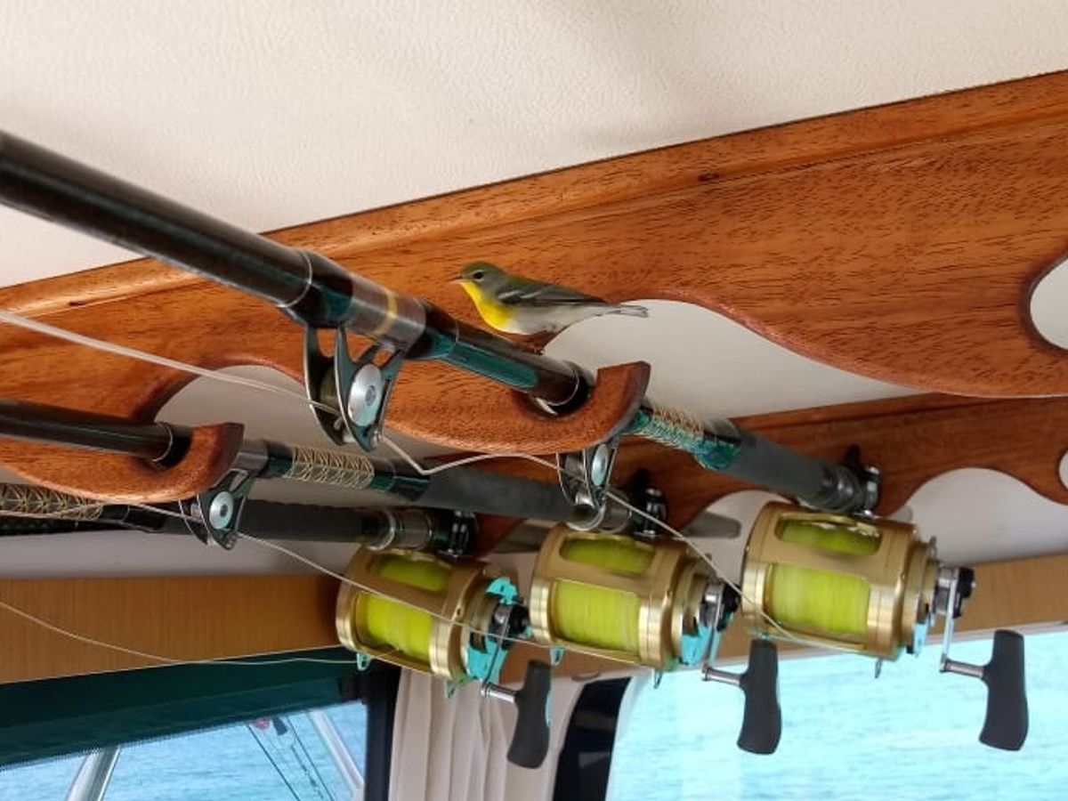 “SPORT FISHING” Tour (FULL DAY). Departure from PLAYA GUARDALAVACA