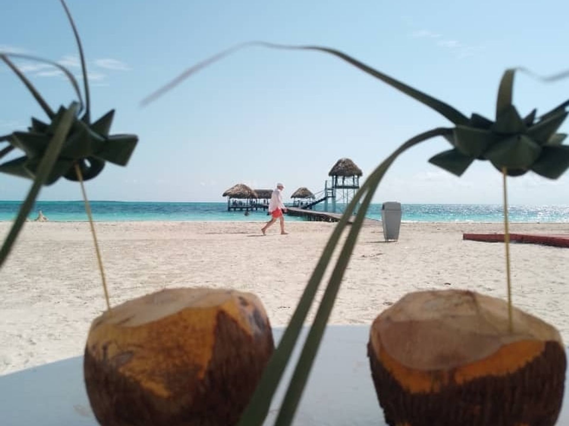 "MINI JEEP" Tour. Departure from CAYO COCO