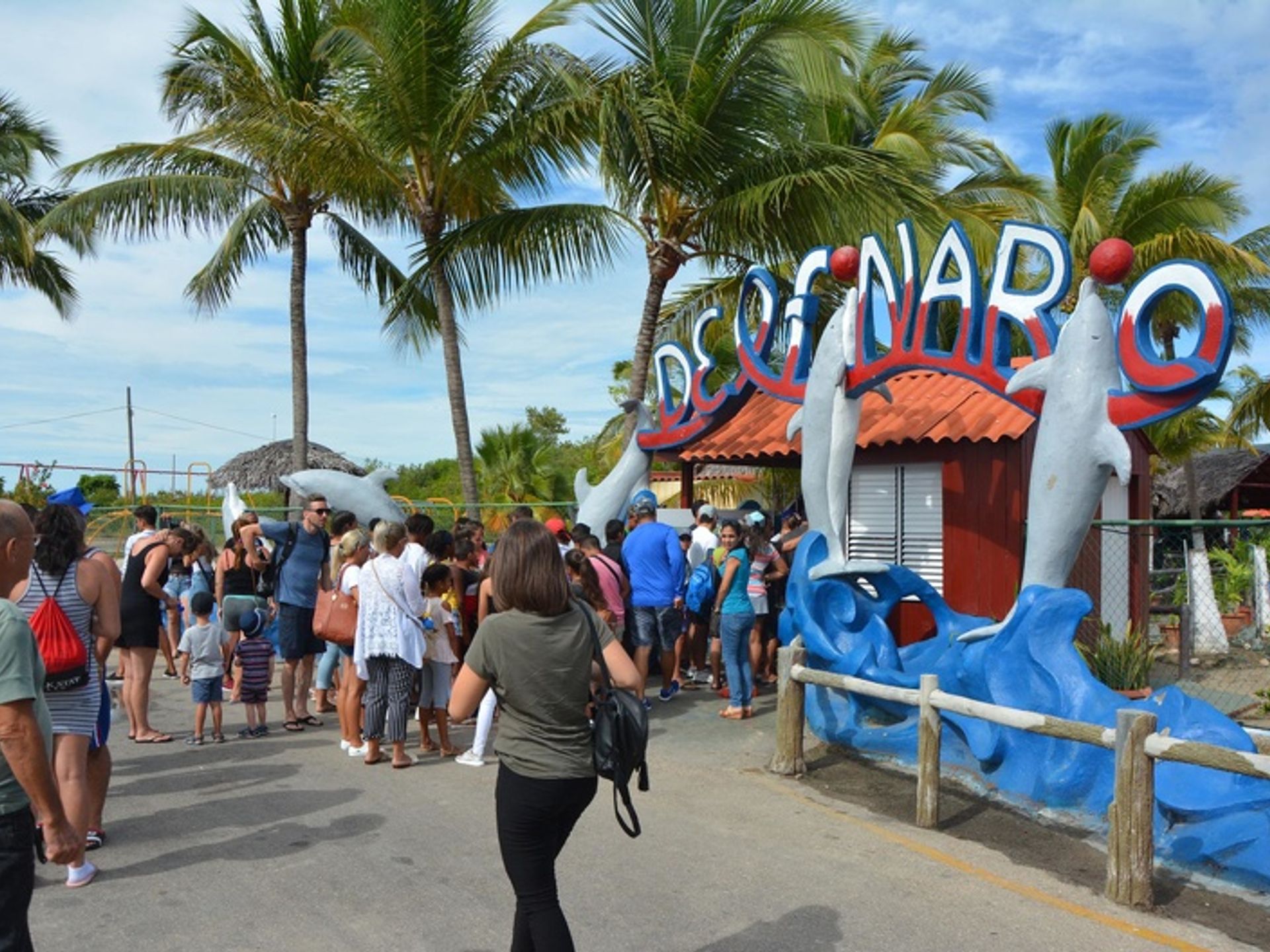 "Dolphin Show in Varadero" Tour. Departure from VARADERO