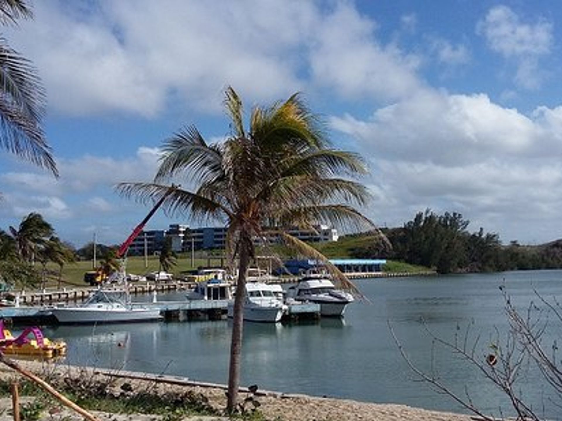 “DEEP SEA FISHING IN TARARÁ“ Tour. Departure from TARARÁ