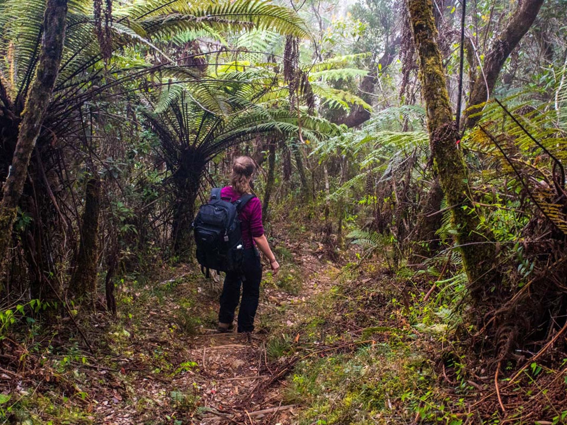 “UNFORGETTABLE ADVENTURE, PICO REAL DEL TURQUINO” Trekking Tour (1 day ...