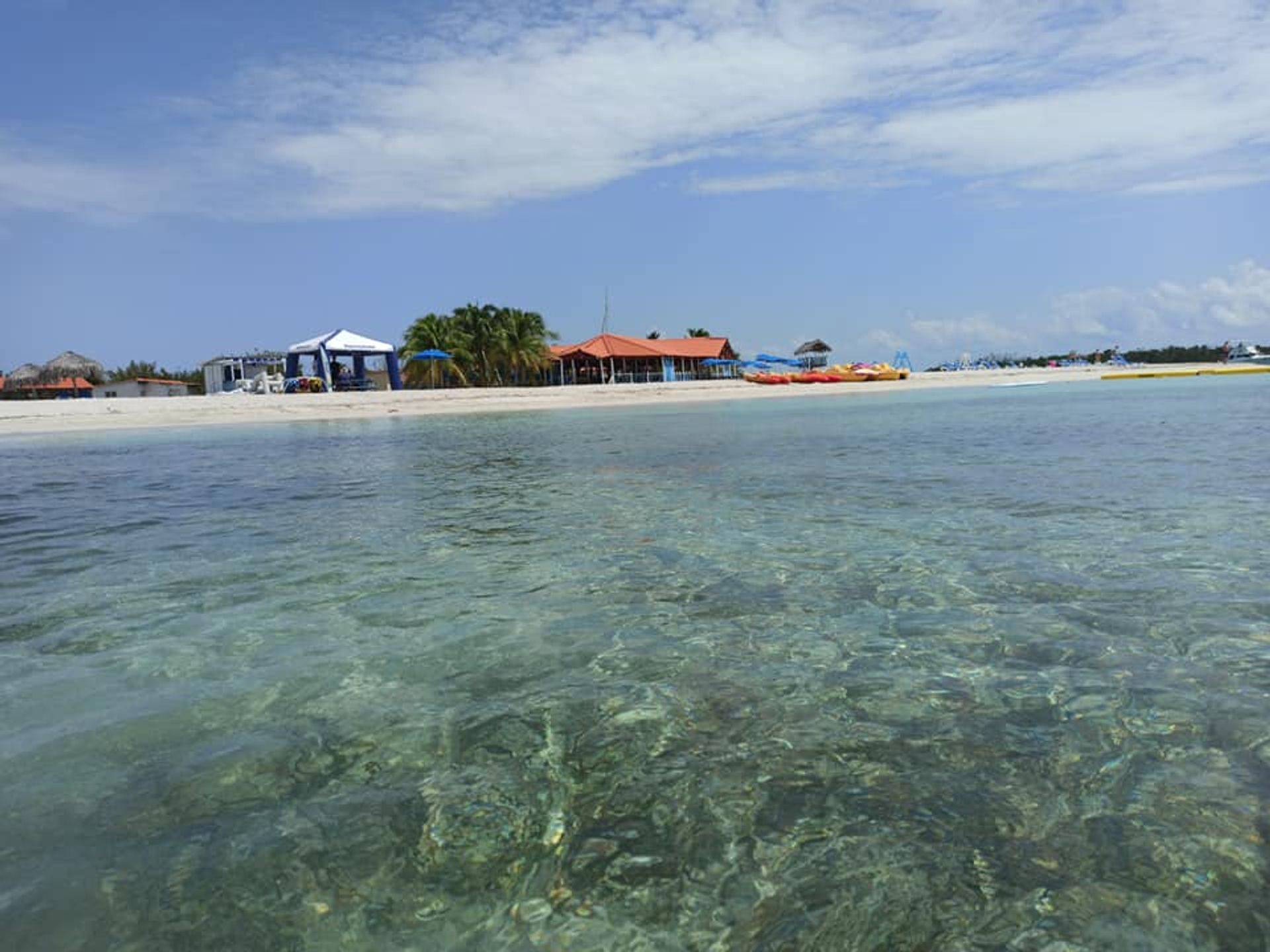 “SEAFARI CAYO BLANCO PLUS” Tour (includes interactive dolphin contact ...