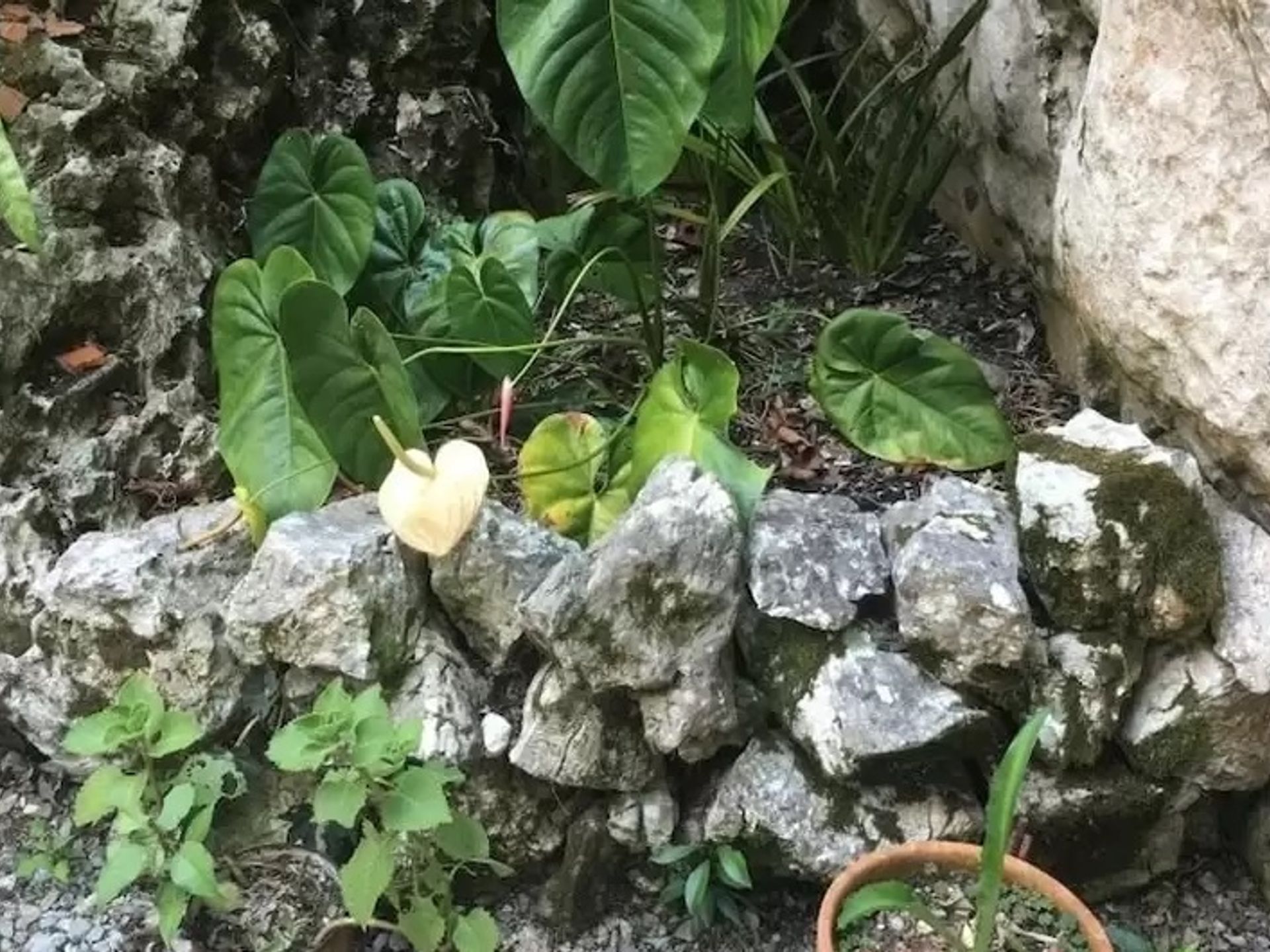 Trail “Wonders of Soroa”. Departure from SOROA