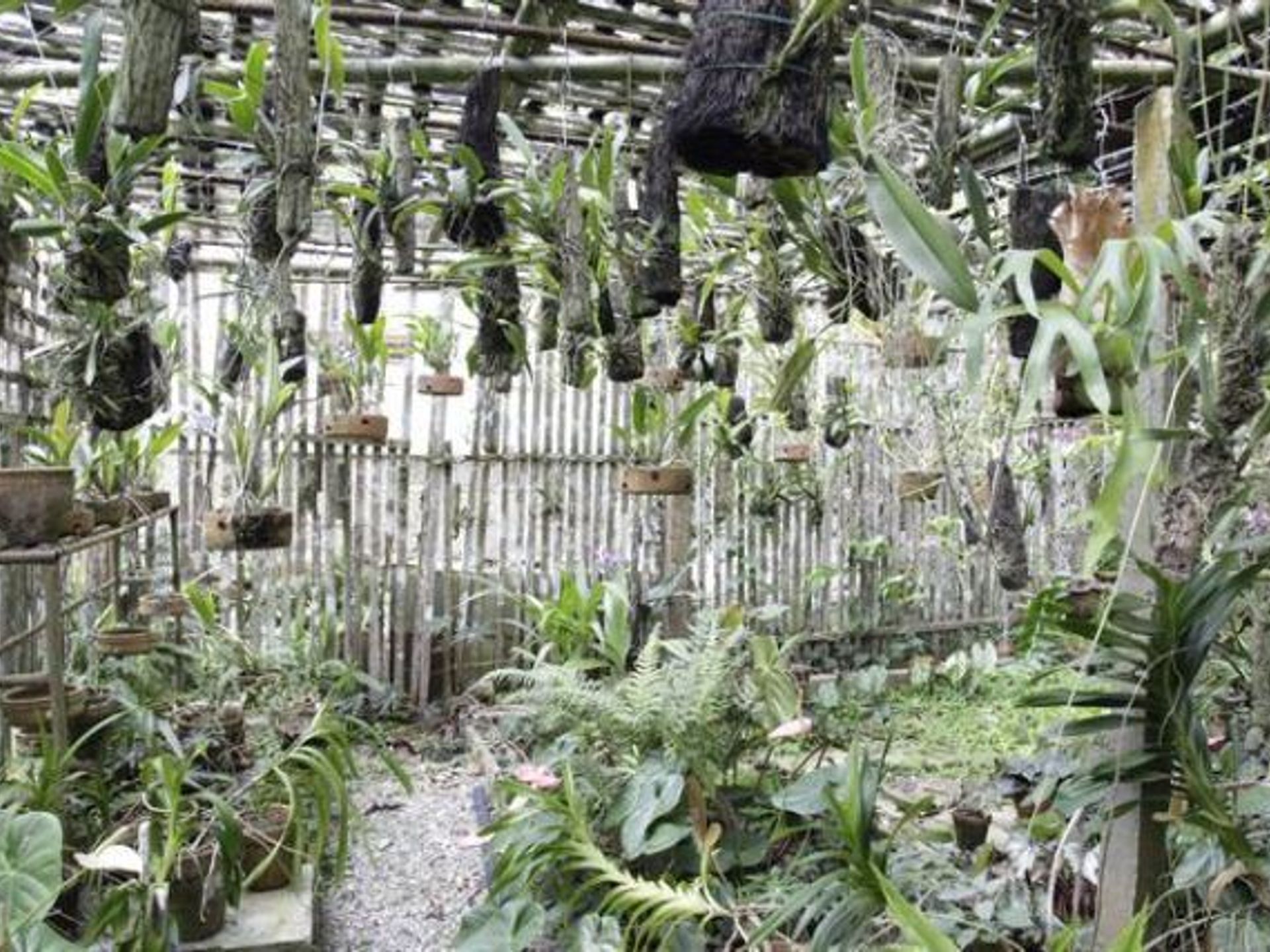 Trail “Wonders of Soroa”. Departure from SOROA