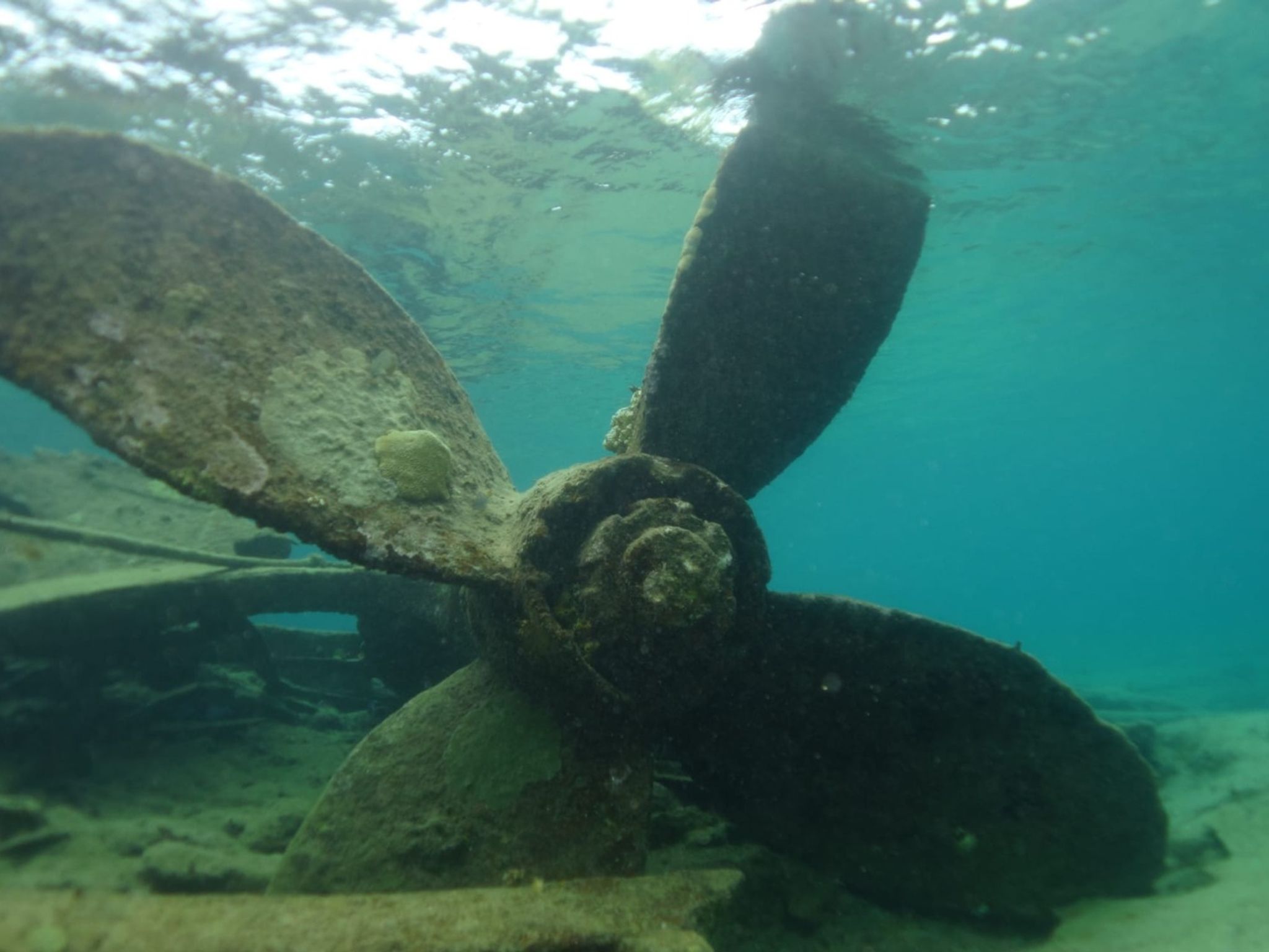 ACUC OR SNSI DIVING COURSES. Departure from VARADERO