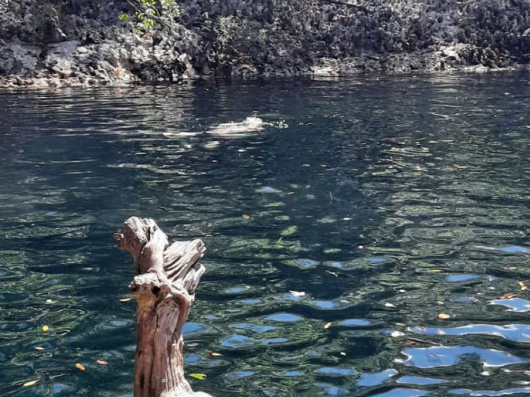 “GUAMÁ – SNORKELING IN PUNTA PERDIZ“ Tour. Departure from VARADERO