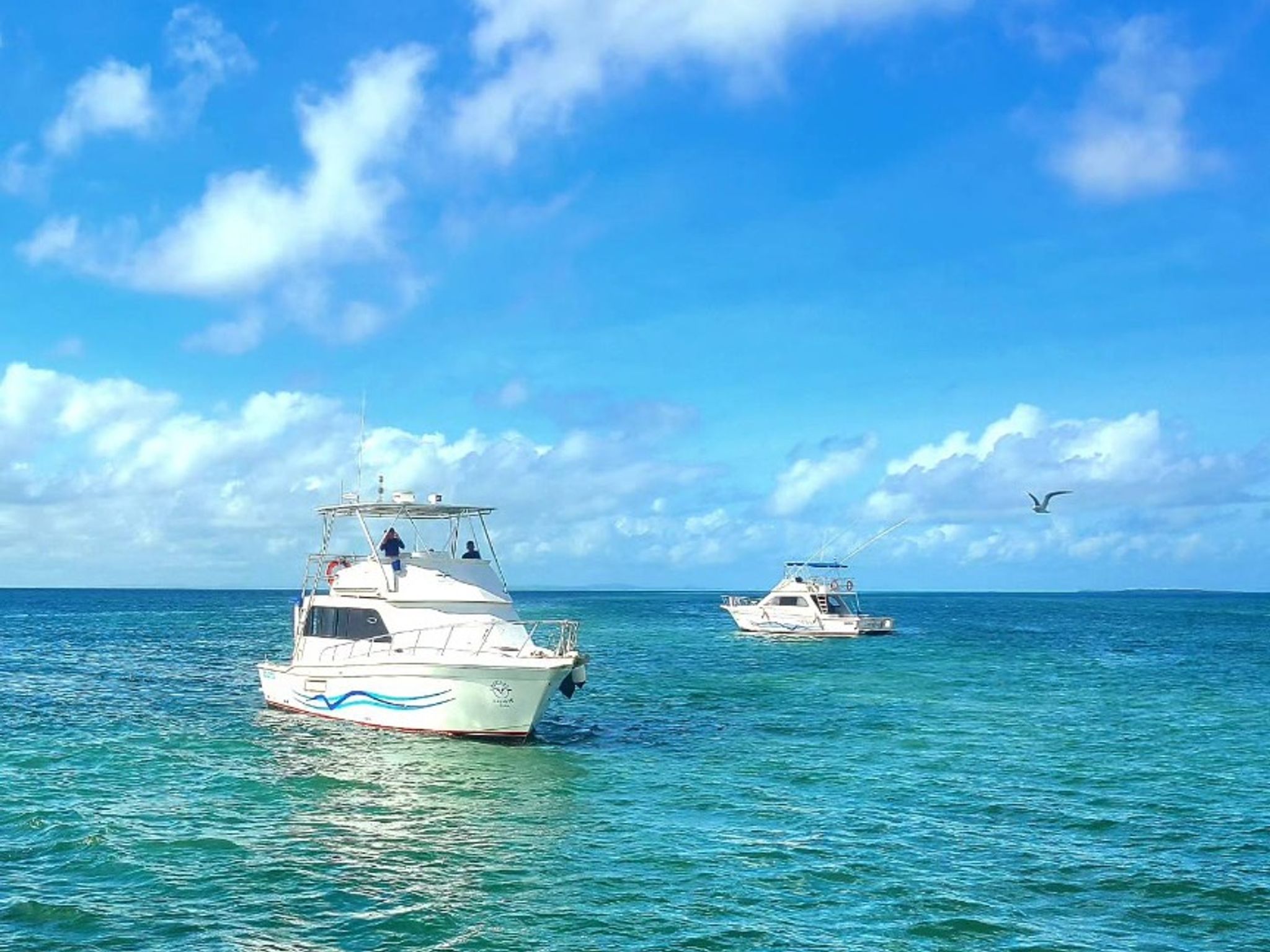 “DEEP SEA FISHING IN THE NORTH COAST OF VARADERO“ Tour. Departure from ...