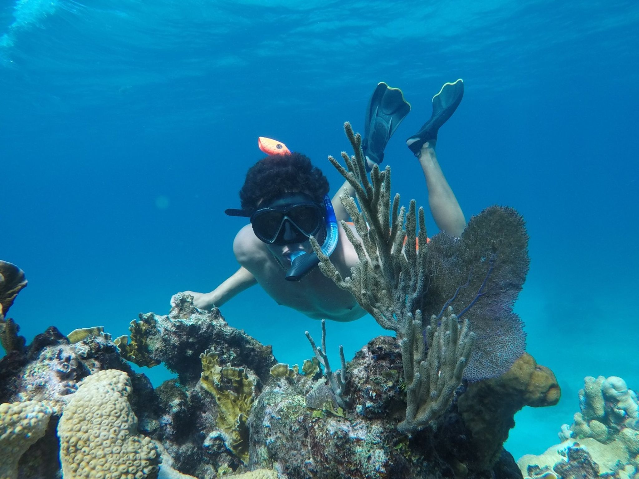 “SNORKELING TO PLAYA CORAL AND SATURNO CAVE” Tour. Departure from VARADERO