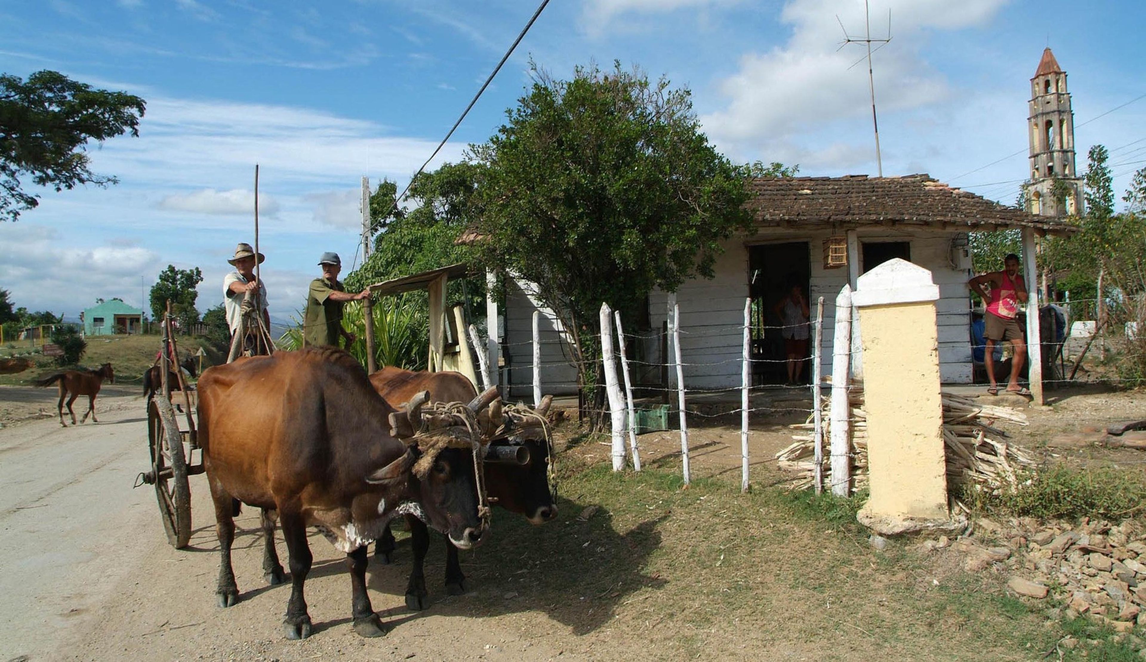 MINI CUBA'S COLORS AND SCENTS Group Tour