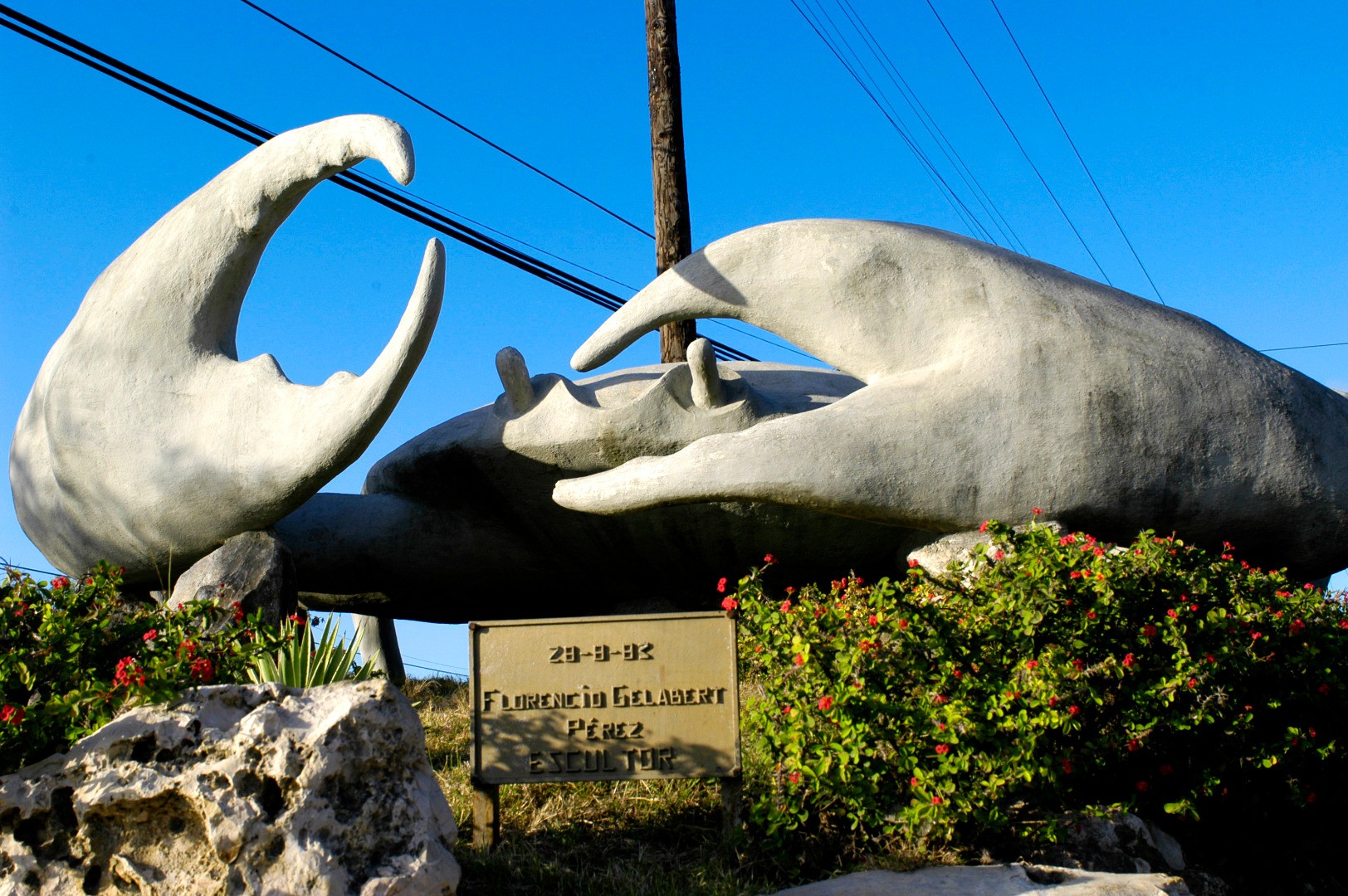 Excursión“A TIEMPO DE RUMBA”. Salida de CAYO SANTA MARÍA