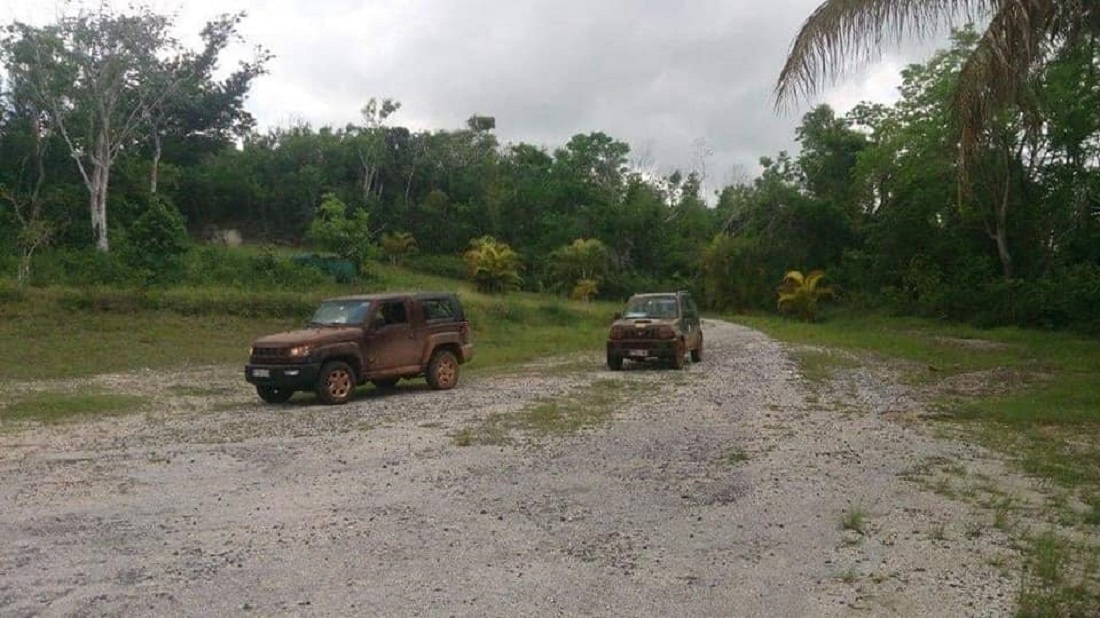 Jeep Safari "OBSERVATION DES OISEAUX À CAYO COCO 4 x 4". Départ de CAYO ...