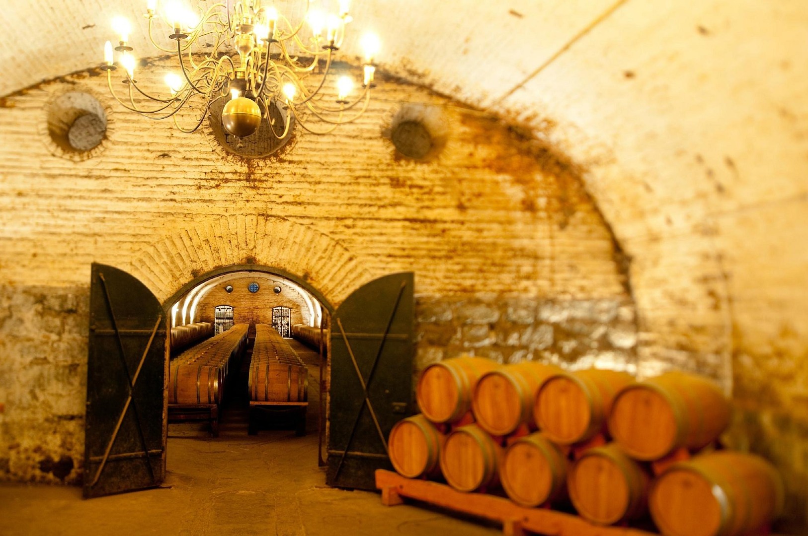 “COUSIÑO MACUL WINERY” Tour. Departure from SANTIAGO