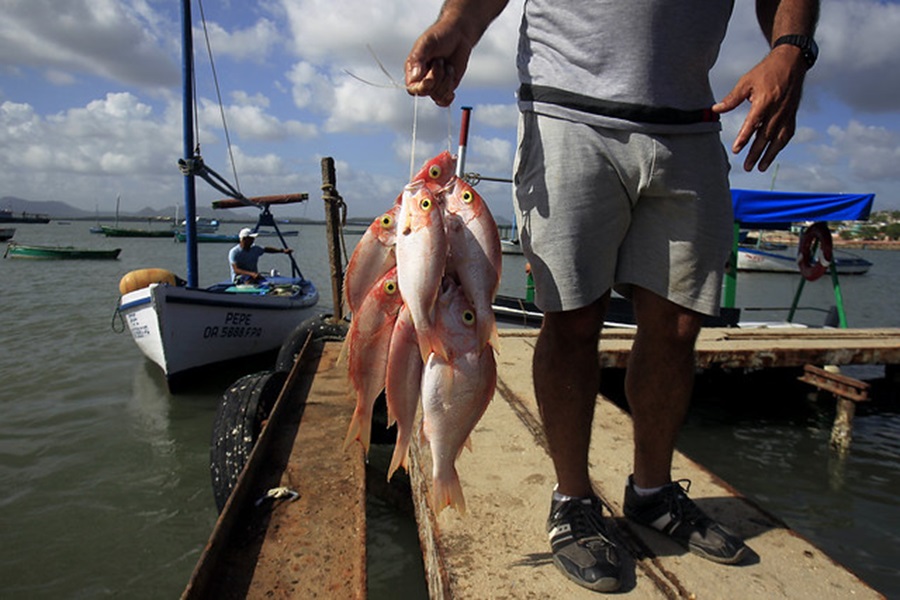 "FISHING IN GIBARA BAY" Tour. Departure from GIBARA