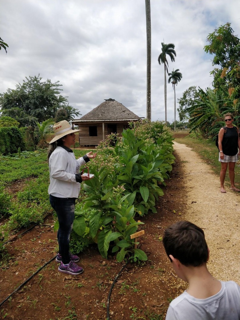 Excursão "VISITA À FAZENDA LA MARÍA EM MORÓN". Partida de CAYO COCO