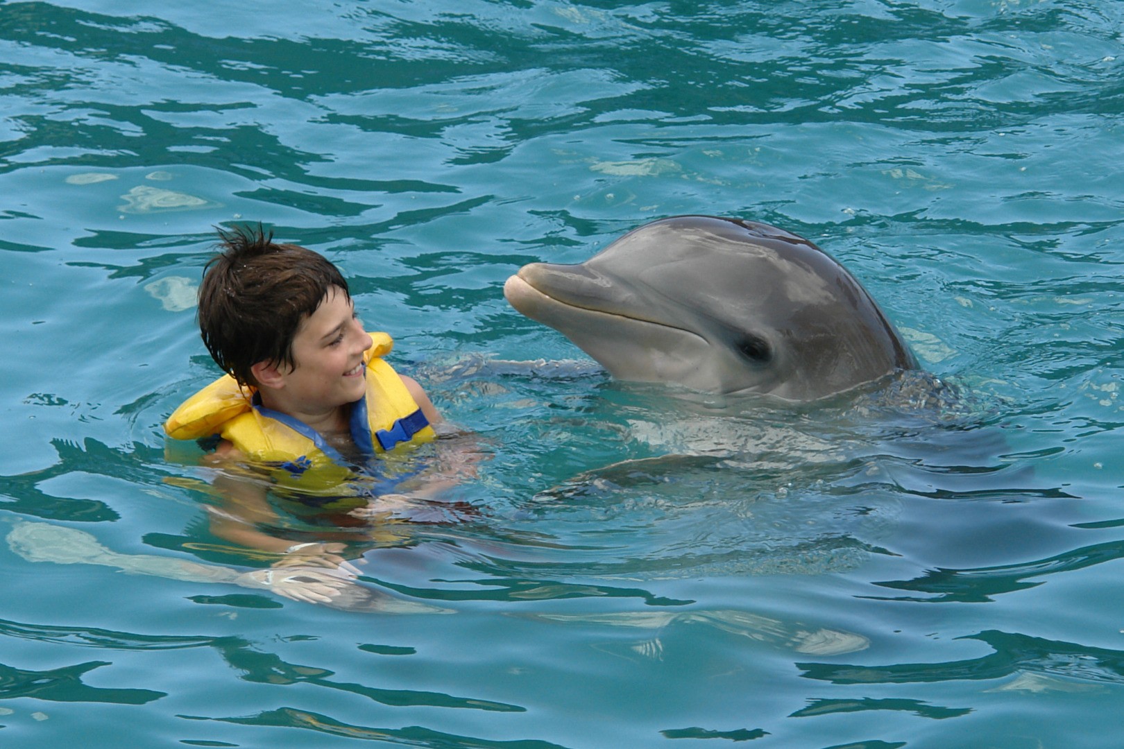 "SPECIALIZED SWIM WITH DOLPHINS IN BAHIA DE NARANJO" Tour. Departure ...