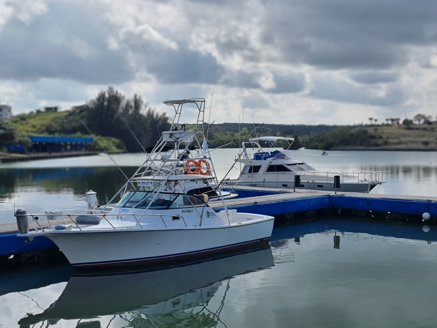 Tour "SEAFARI LE LONG DU LITTORAL DE HAVANA" (Depuis la Marina Marlin ...