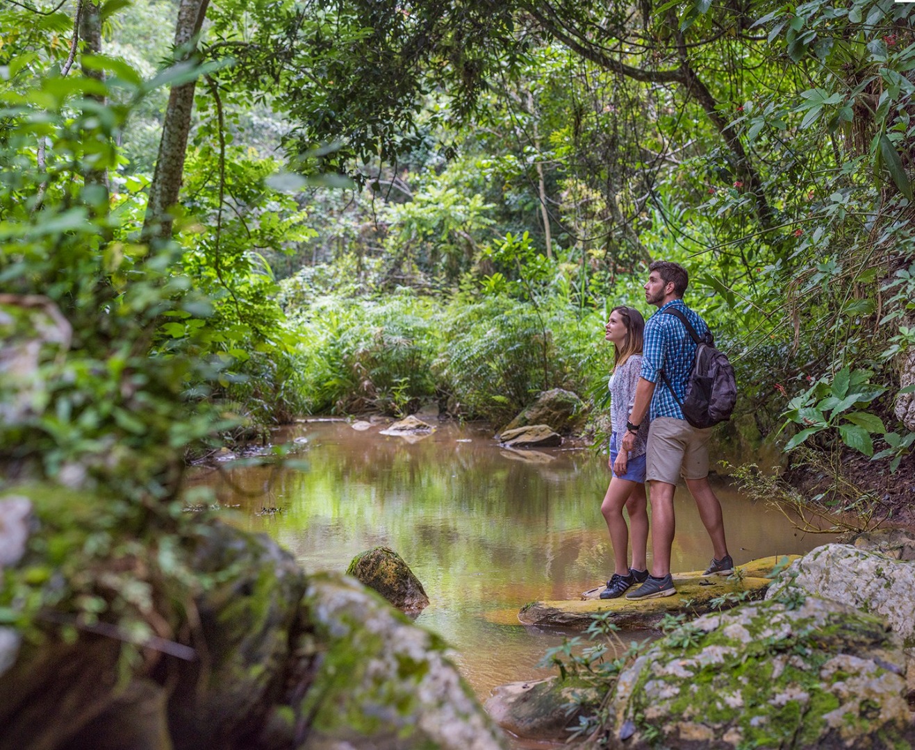 Excursión "PARQUE NATURAL CABURNI, TOPES DE COLLANTES". Salida de TRINIDAD