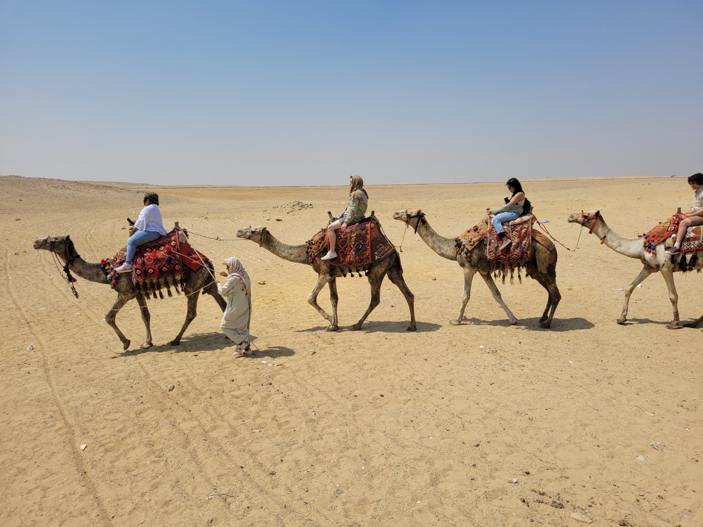 CLASSIC EGYPT (7 DAYS) Group Tour.